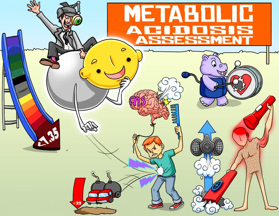 Metabolic Acidosis Assessment - NURSING.com